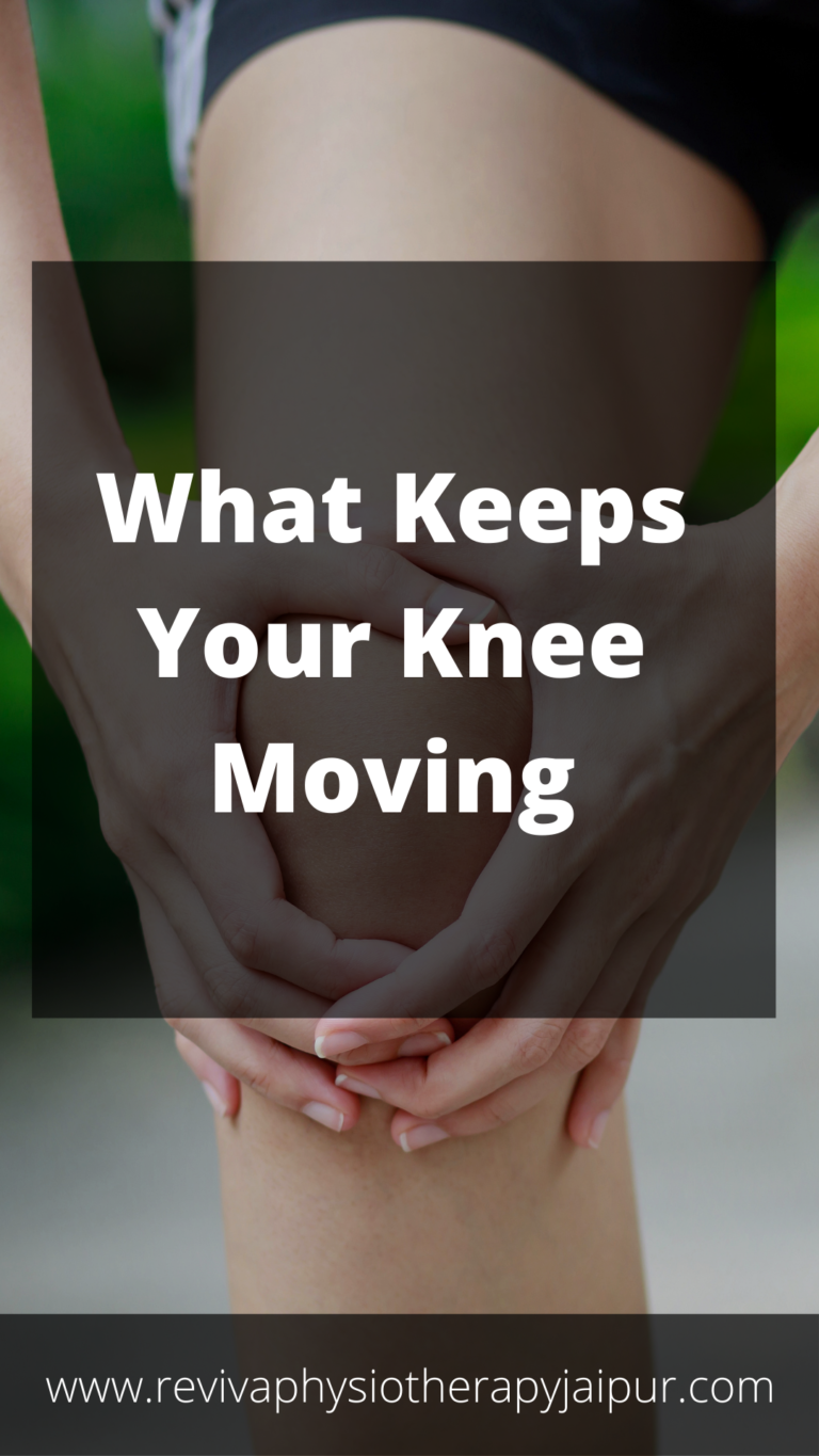 What Keeps Your Knee Moving